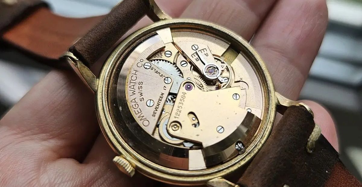 Daily "is it Franken?" mission | Omega Watch Forums