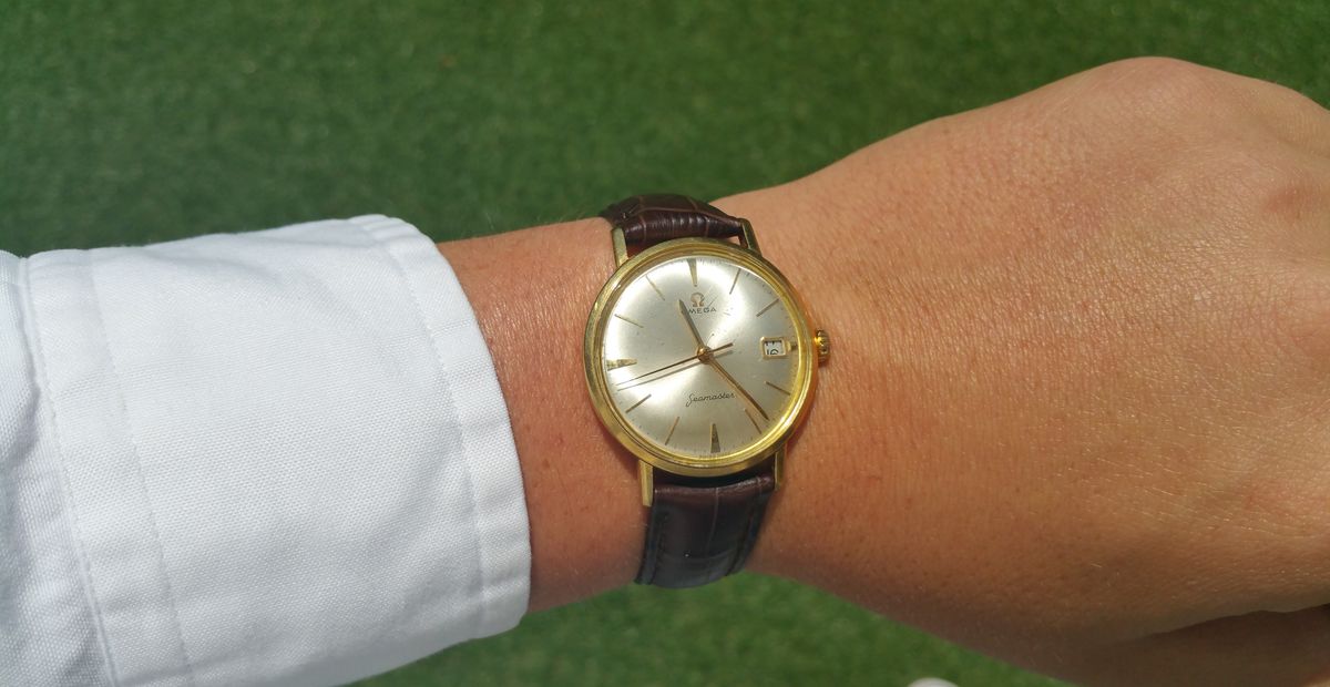 Newbie looking for guidance | Omega Watch Forums