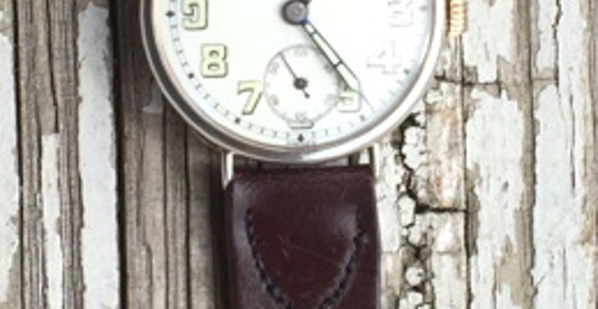 New strap for fixed-lug watch | Omega Watch Forums