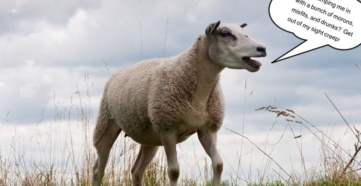 Sheep have rights too ya know! | Omega Watch Forums
