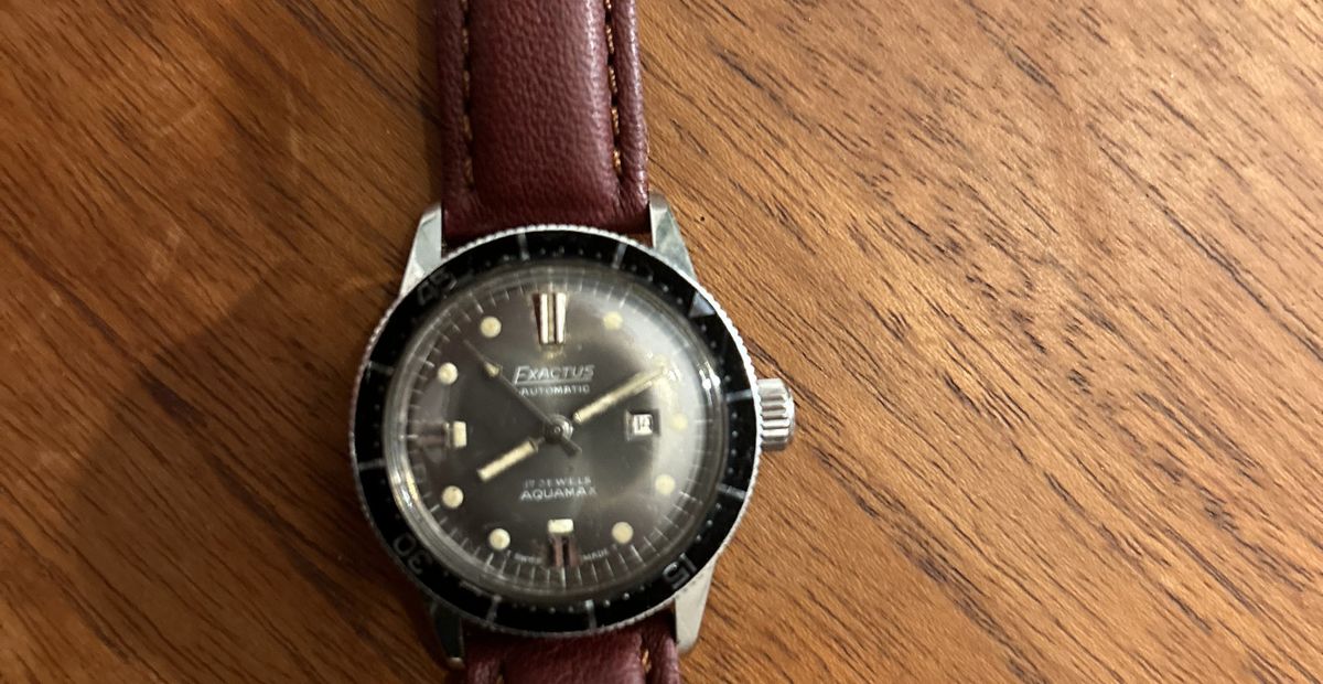 Exactus Aquamax Skindiver - questions and knowledge about it | Omega ...