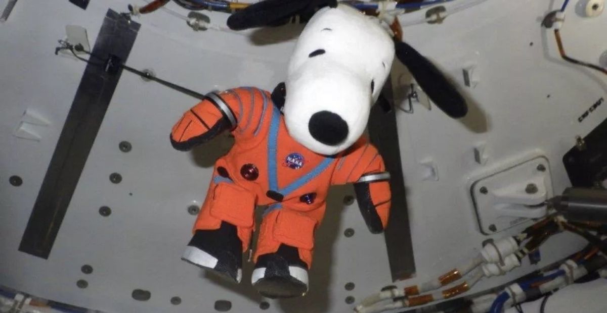 Snoopy Dragon Capsule mascot & gravity device => suit available | Omega ...