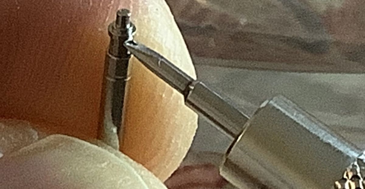 Spring bar tool conundrum… | Omega Watch Forums