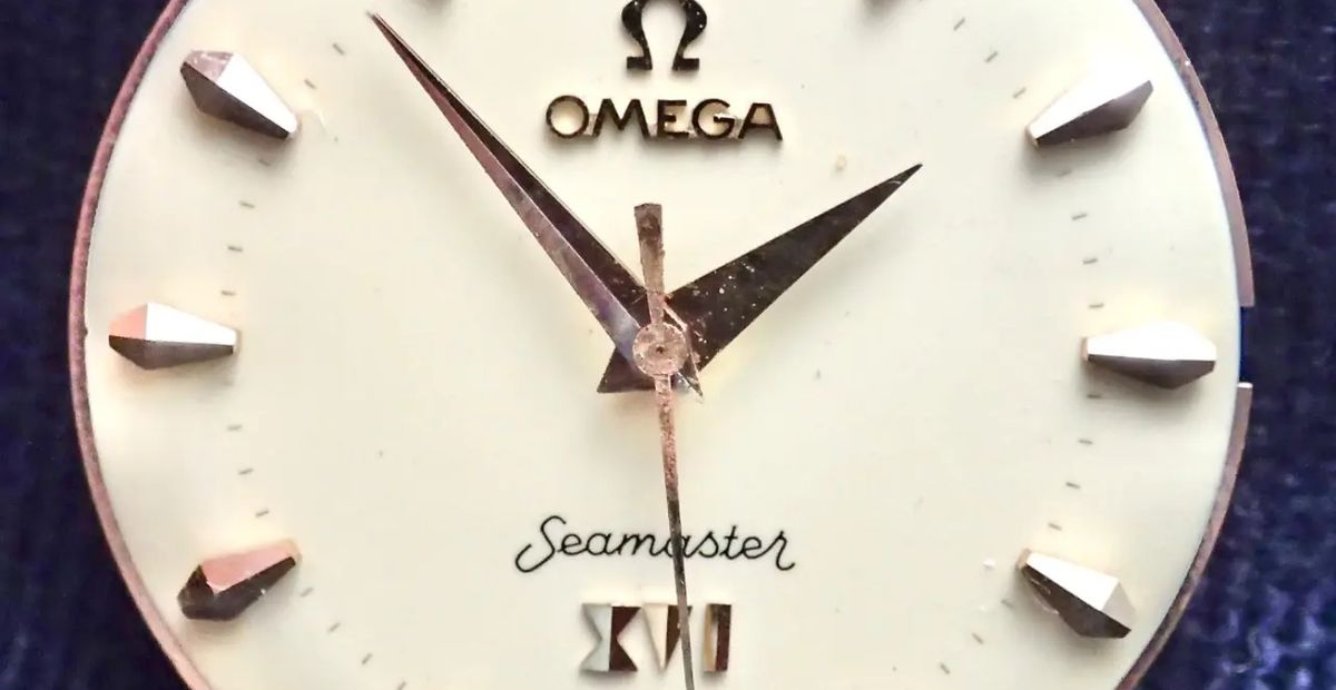 Cases for an Omega Seamaster XVI | Omega Watch Forums