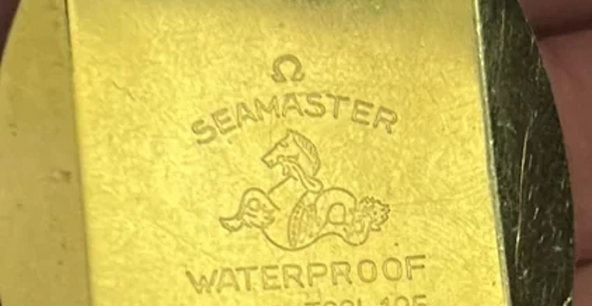 Incoming Seamaster Cosmic Project- 166.023 | Omega Watch Forums