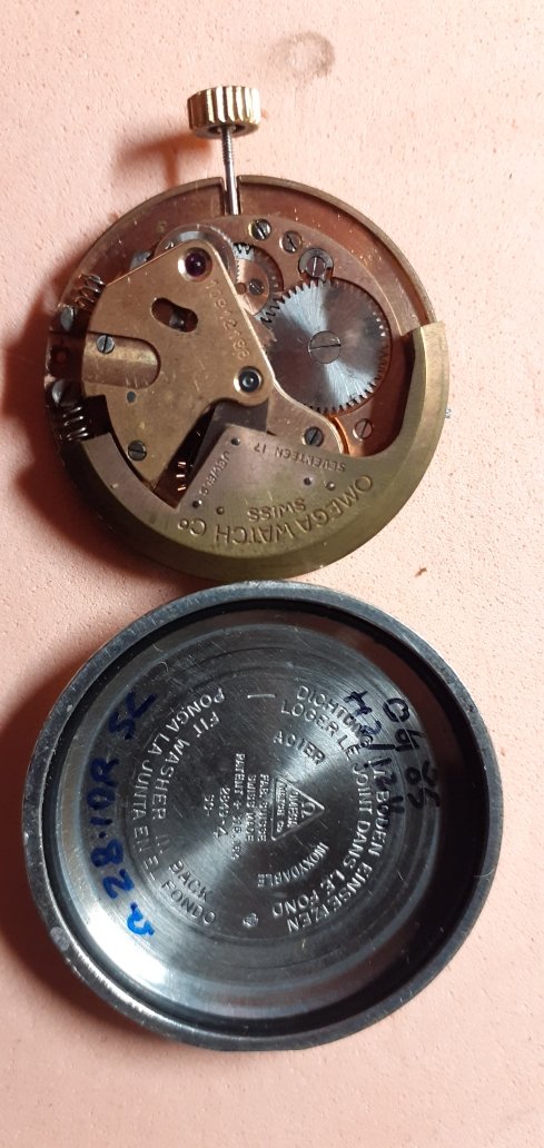 351 bumper? | Omega Forums