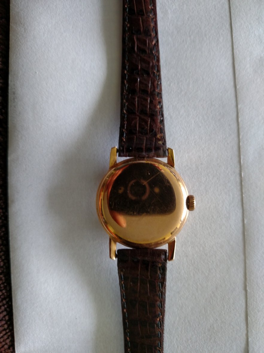 Might anyone be able to identify this Omega Model? | Omega Forums