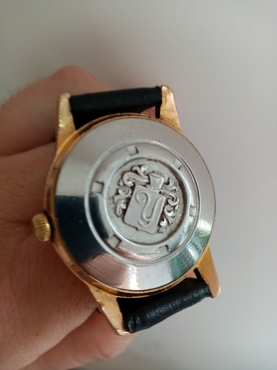 Unusual Case Back | Omega Forums