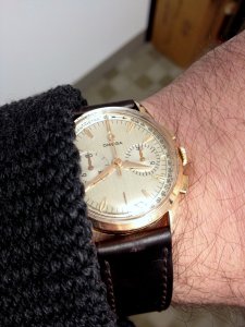 omega1.jpg | Omega Forums