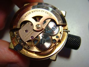 Inside 1.jpg | Omega Forums